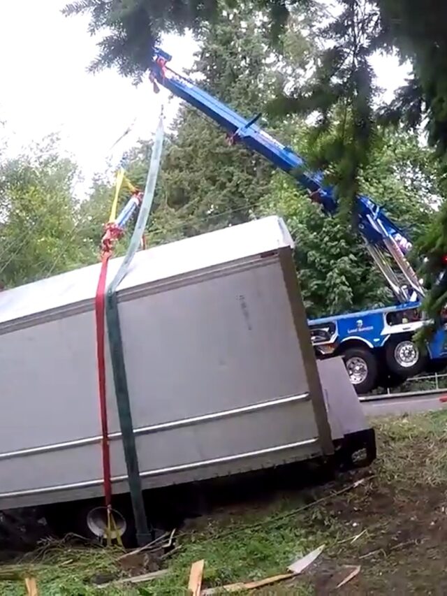 Pro-Tow Fishes a Box Truck Out of a Creek | Pro-Tow 24 Hr Towing